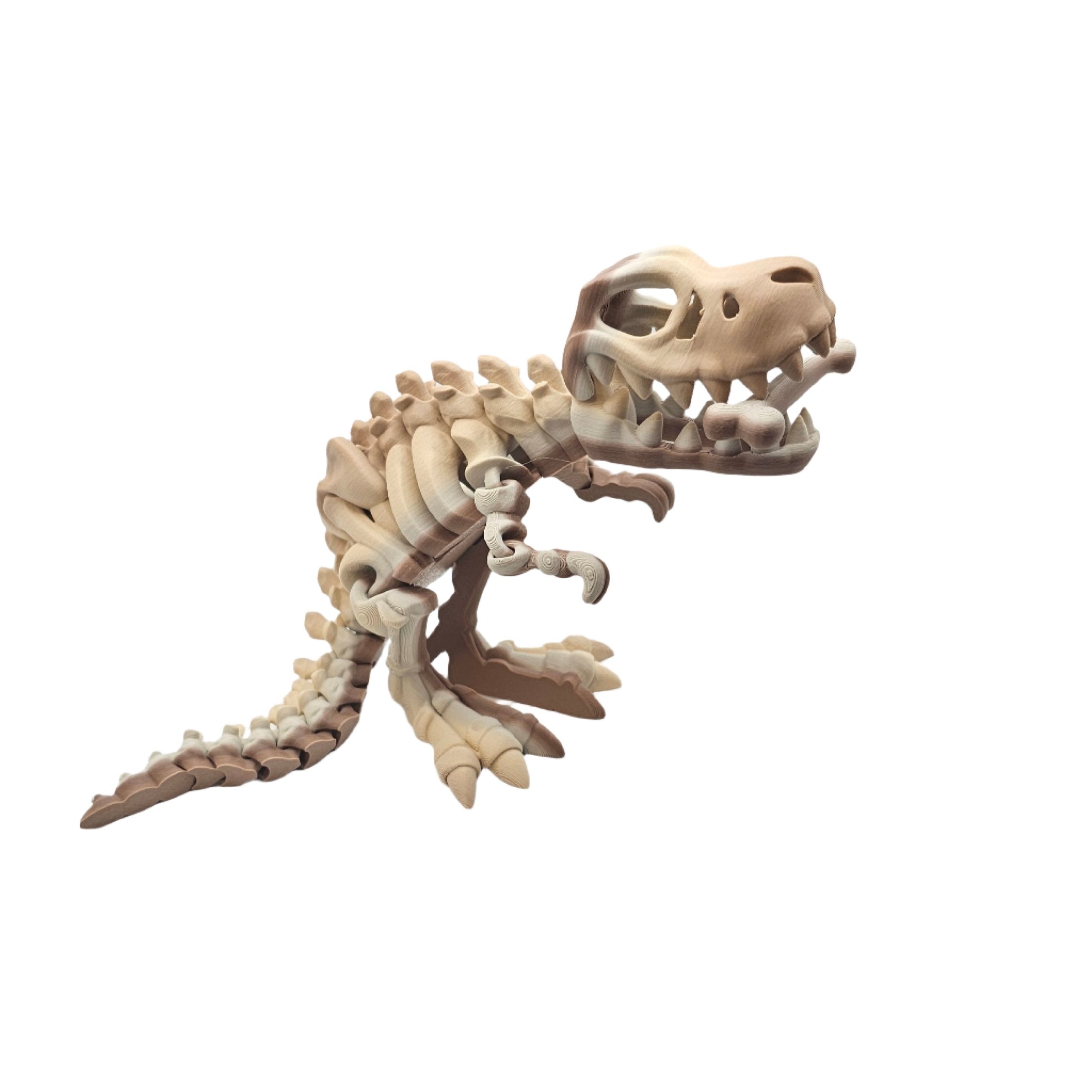 Skelly Rex – DnA Printing